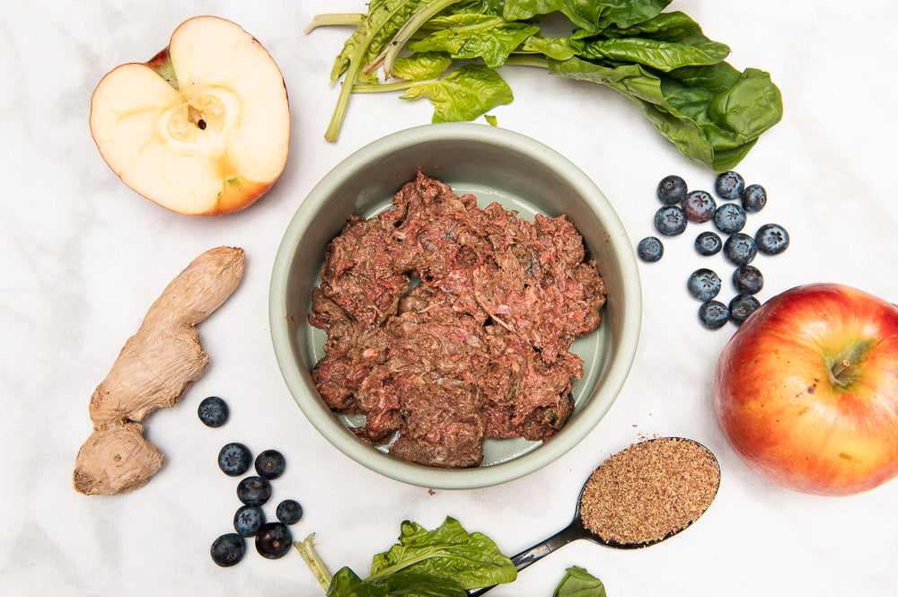 Why You Should Start Feeding Raw – K9 Ancestral Diet